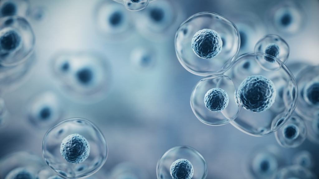 Cell and Gene Therapy | Penn Medicine